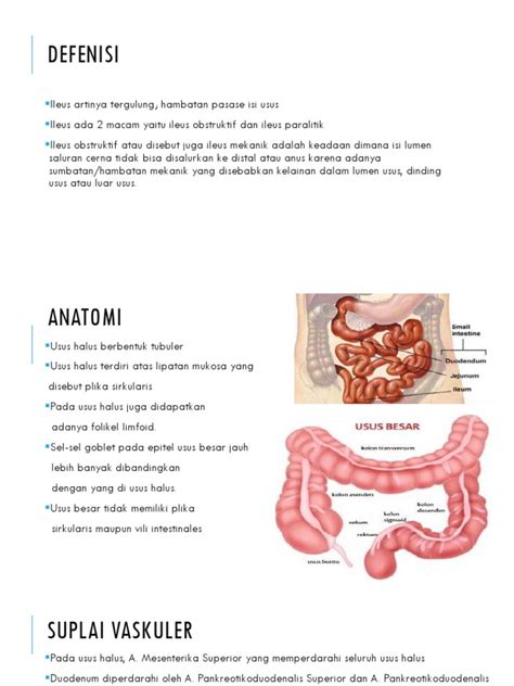 Ileus Obstruktif Pdf