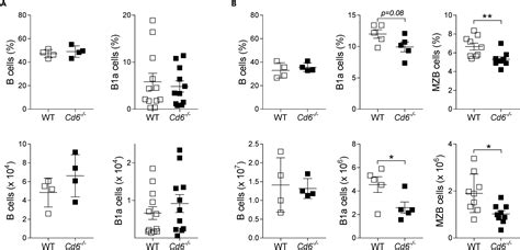 Cd6 Deficiency Impairs Early Immune Response To Bacterial Sepsis Iscience