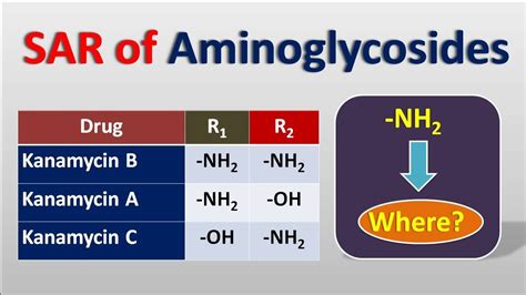 Sar Of Aminoglycosides Structure Activity Relationships Youtube