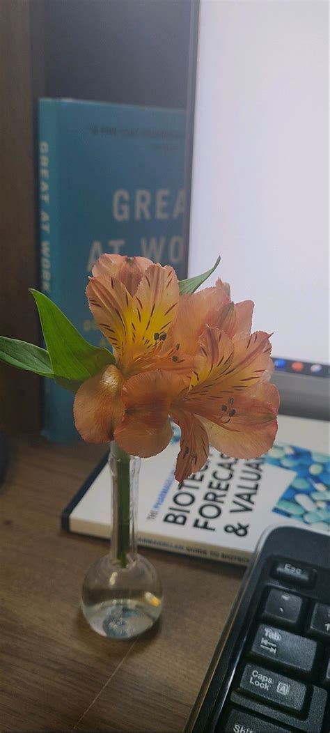 Shailesh S Thapa On Linkedin Lab Career Flask Flowers Chemistry