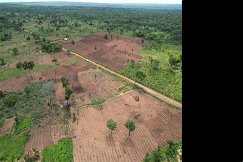 Brian Mutasha On Linkedin Conservation Sustainability Zambiaenvironment