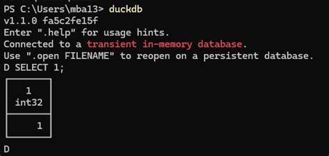 分钟安装 DuckDB 腾讯云开发者社区 腾讯云