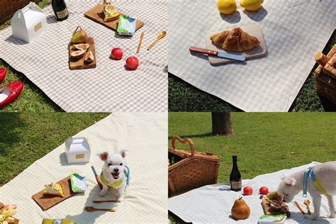 맨드롱 감성 코튼 체크 단면 방수 피크닉 매트 여행 야외 돗자리 3size 위시버킷