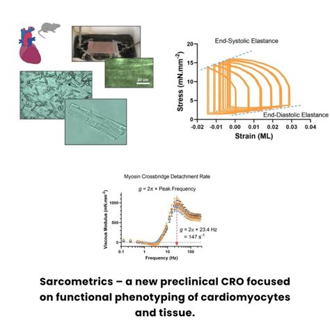 Ionoptix On Linkedin 🎉latest News Ionoptix And Sarcometrics Announce
