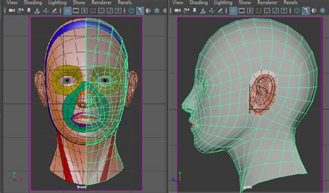 Craig Langs Art Cga Maya Head Modelling