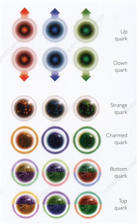 Table Of Quarks Illustration Stock Image C027 8240 Science Photo