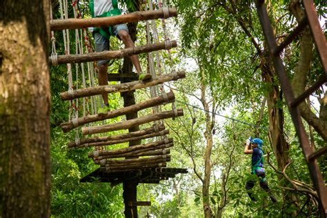 Tree Top Course Basecamp