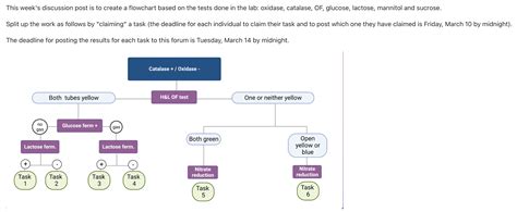 This Week S Discussion Post Is To Create A Flowchart Chegg