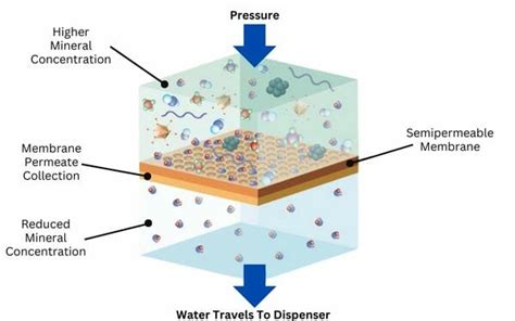 Does Reverse Osmosis Remove Minerals Freshnss