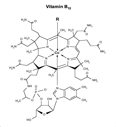 Cobalamin Structure