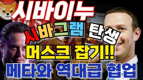 시바이누코인 메타ceo 저커버그 일론머스크 도지코인 잡겠다 발언 이번 역대급협업에 전세계가 놀라고있습니다 지금 수많은 전문가들이 시바이누코인 100배폭등