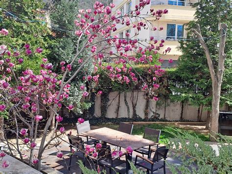 Новинарска агенция E79news 🏞️ С форум посветен на опазването на водните ресурси Община