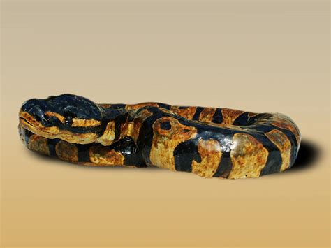 Ball Python Sculpture By Jeanette K Fine Art America