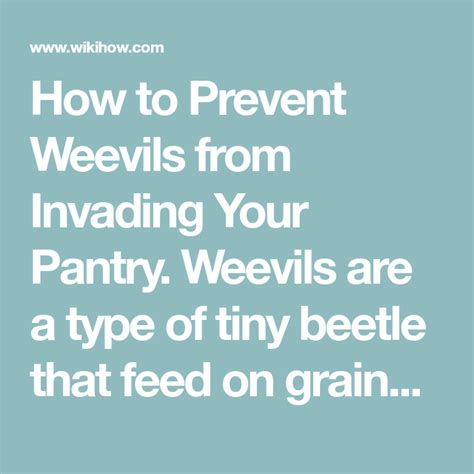 Preventing Weevils In Your Pantry