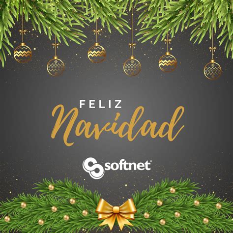 Softnet Soluciones Posted On Linkedin