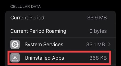 Unexplained Data Usage Rios