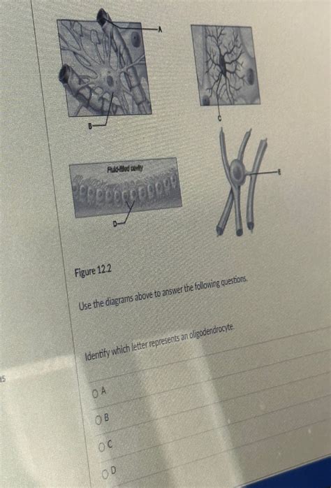 solved figure 12 2 use the diagrams above to answer the following