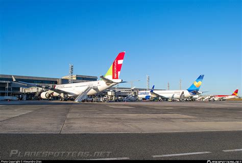Cs Tof Tap Air Portugal Airbus A330 223 Photo By Alexandro Dias Id 968141