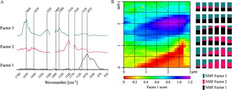 Nmf Factor Spectra Represent Carbohydrate Rich And Protein Like Regions Download Scientific