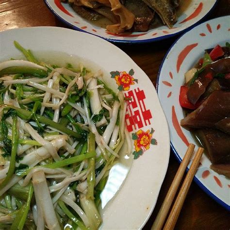 青芽图片芽的图片草芽图片大山谷图库