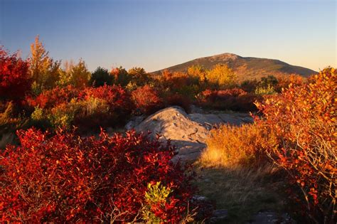 New England Fall Foliage 2023 Forecast New England