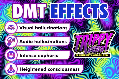 Dmt Trippy Wizard Weed Dispensary Dc