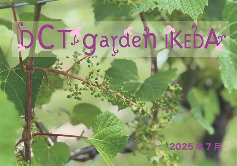 DCTgarden IKEDA、池田ワイン城で「ドリカムの日」を記念した展開が決定！ - DREAMS COME TRUE