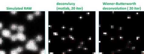 deconvolution vs ai deblurring for microscopy image analysis