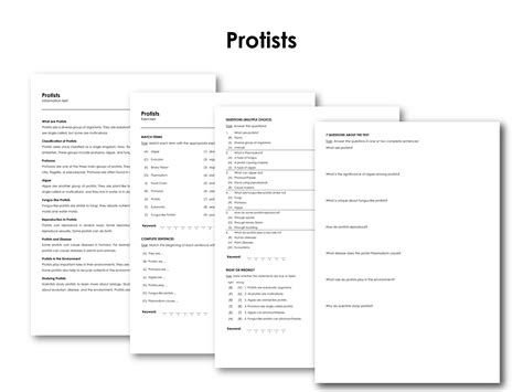 Protists Made By Teachers