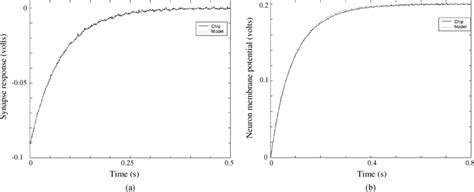 Chip Measurements Of Synapse Response And Neuron Membrane Potential Download Scientific Diagram