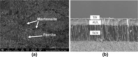 A Microstructure Of Hardened Steel After Heat Treatment B Sem Download Scientific Diagram
