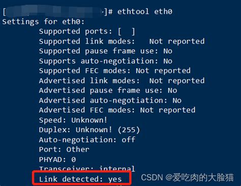 查看网卡状态 csdn博客