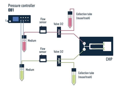 Microfluidics For Microscopy Imaging In Plant Biology Allows To