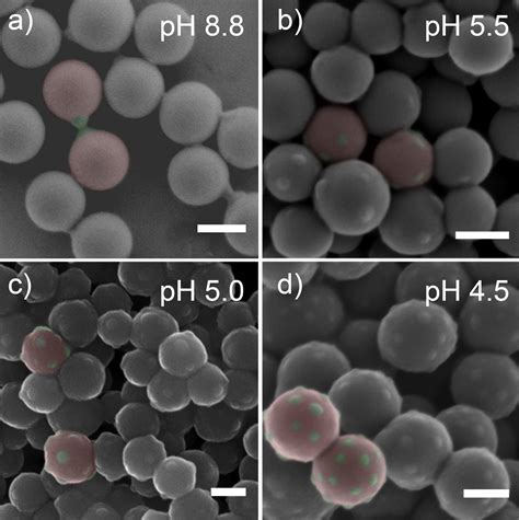 Innovation In Emulsion Polymerization Process Opens Window To Janus And Patchy Particles — Bonlab