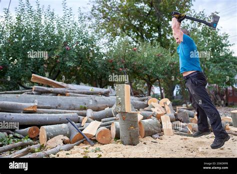 Farmer With Big Axe Splitting Beech Logs Stock Photo Alamy