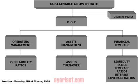 Strategi Menggunakan Alat Analisis Keuangan Financial Ratio Dan Cash Flow Analysis