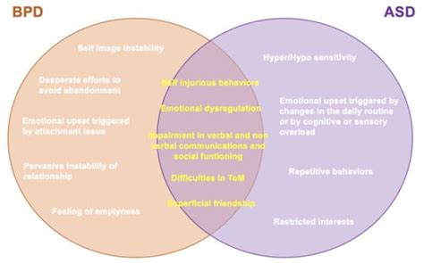 Dependent Personality Disorder Brain