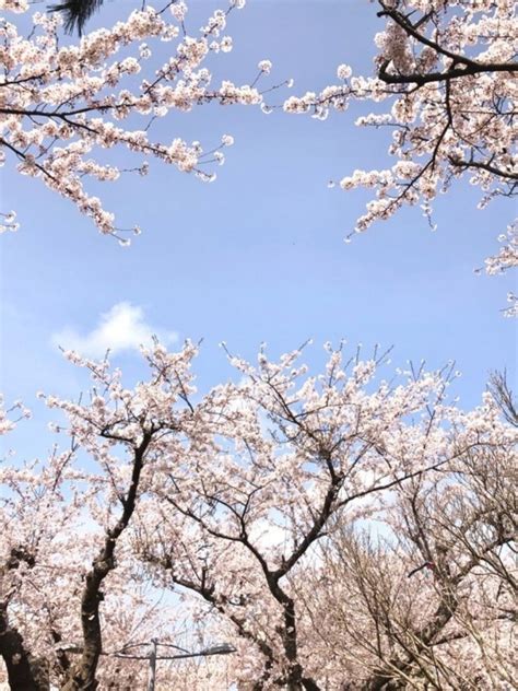 📵🔞📵모든 활동적인 사람은 꿈을 쫏는 사람이다⚠️⚠️⚠️ 꿀팁 캐시피드