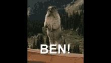 Ben S