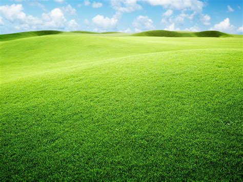 Ground