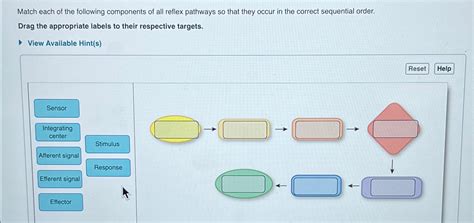 Solved Match Each Of The Following Components Of All Reflex