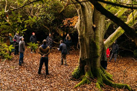 Future Fitness Amid Rising Complexity The Nature Of Business