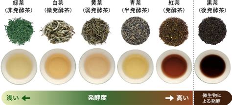 初心者でも最低限知っておきたいお茶の種類と見分け方 お茶を楽しむ