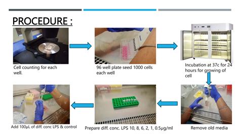 Mtt Assay Cell Spiltting Cell Counting Ppt