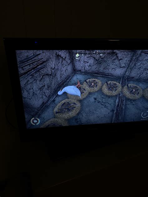 Dead Goose Rmedievaldynasty