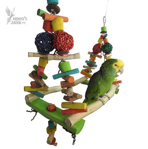 Bridge Ninos Java All About Birds