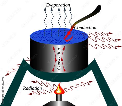 What Is Conduction Convection Radiation And Evaporation Free Worksheets Printable