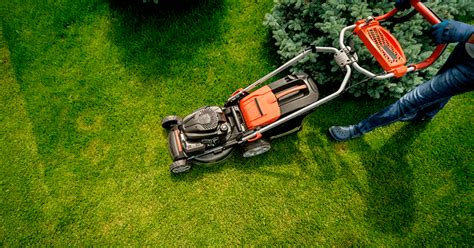 Jardinagem Chamaoantoniopt Serviços De Faz Tudo