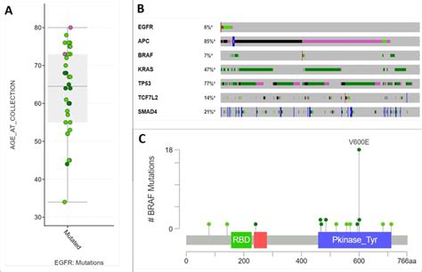 Europdx Data Visualization In The Europdx Cbioportal Instance A