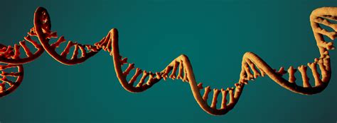 Challenges And Future Trends In Biomarker Analysis For Clinical
